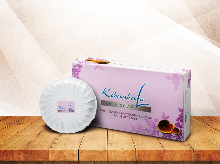 Gano Excel International